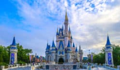 Disney VIP Tours: Cost, Perks, And Explaining the Different Types