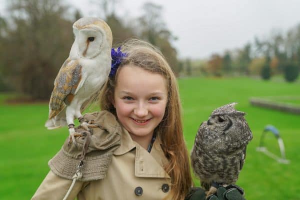 The K Club, Ireland and the Legacy of Straffan House