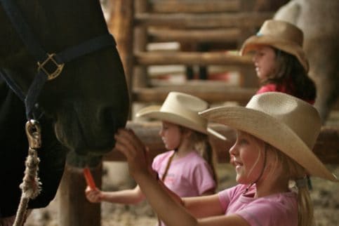 Best All Inclusive Family Resorts USA Edition