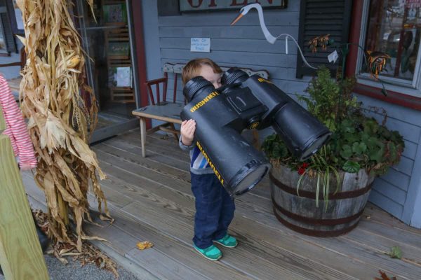 The Best Cape Cod Family Resorts for Families With Kids