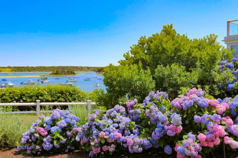 Plan Your Luxury Family Vacations With Luxe Recess