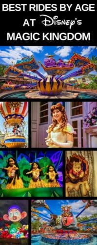The Best Magic Kingdom Rides By Age and Thrill Level