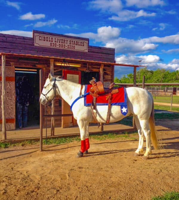 Best Luxury Family Dude Ranch Vacations From Luxe Recess