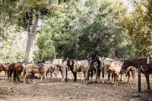 Best Luxury Family Dude Ranch Vacations From Luxe Recess